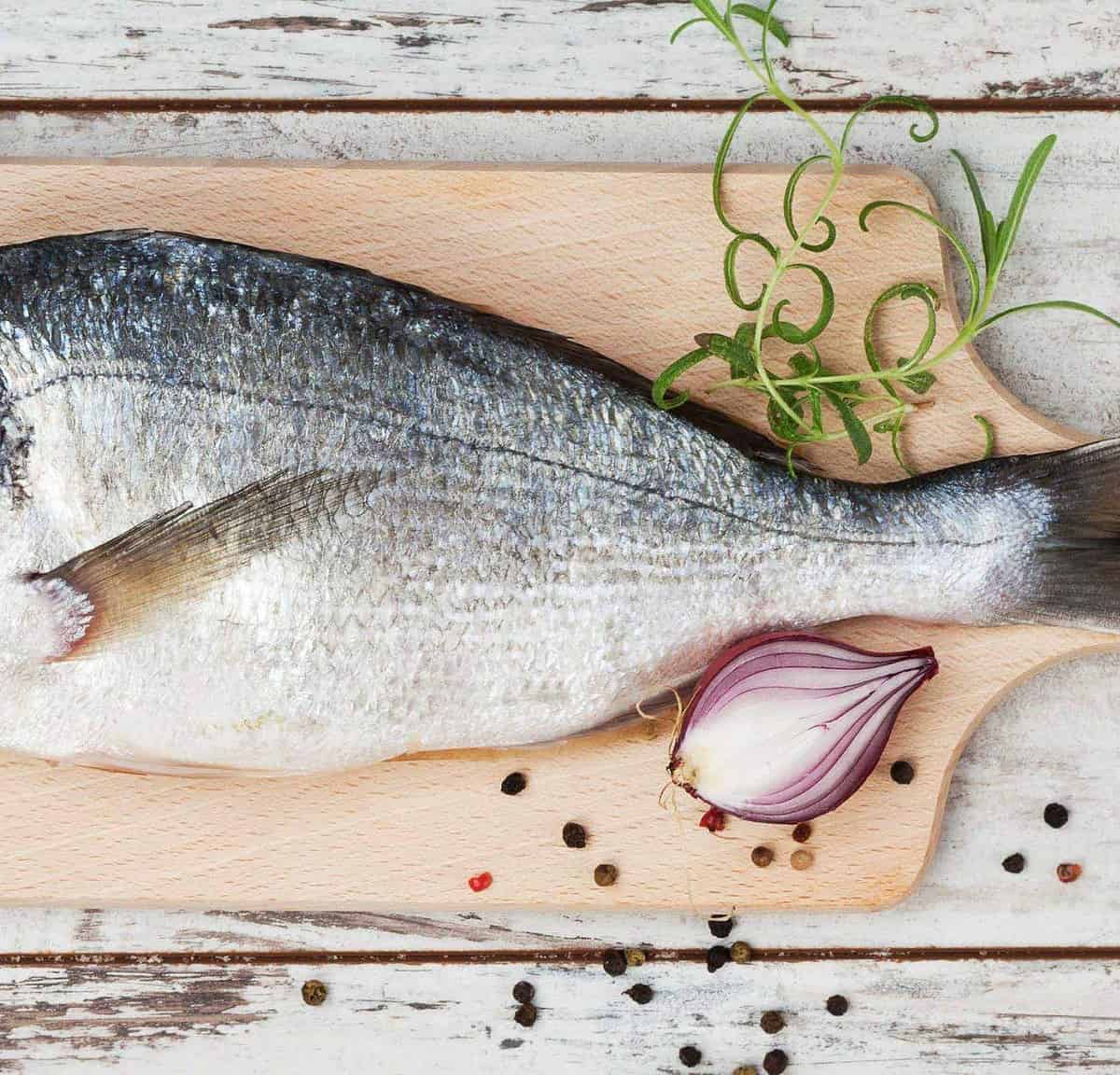 Verse vis, de ultieme gids voor aankoop en bewaring. - Liliesfood