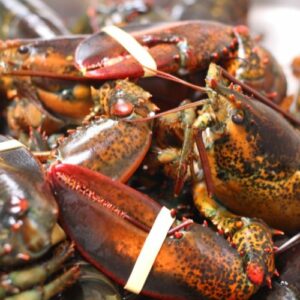 Kreeft klaarmaken...hoe doe je dit nu eigenlijk? - Liliesfood