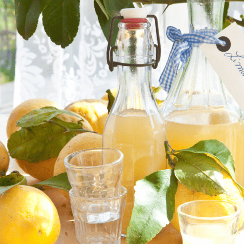 Zelf citroenlimonade maken - Liliesfood