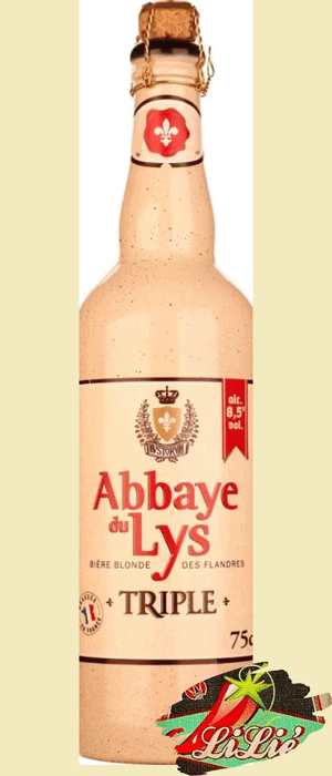 Tripel bier, authentiek Belgisch bier met smaak. - Liliesfood
